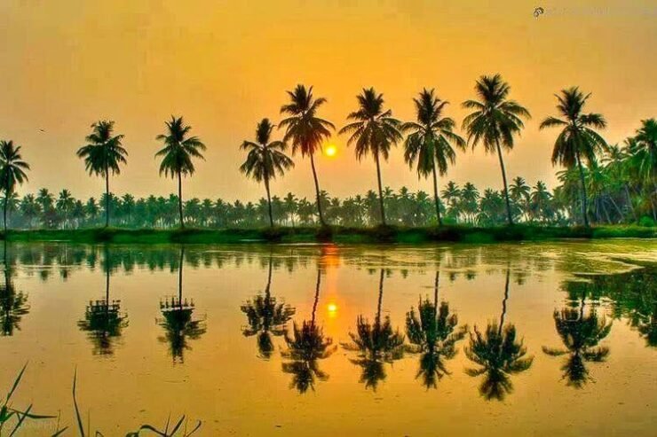 Dindi, Andhra Pradesh: Houseboats, Backwaters & Konaseema Charm